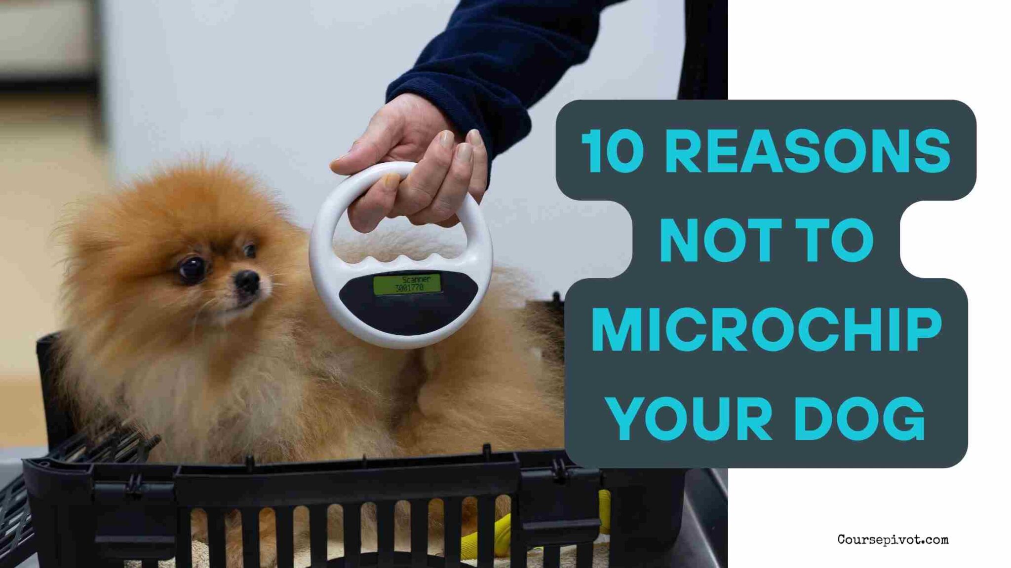 10 Reasons Not To Microchip Your Dog