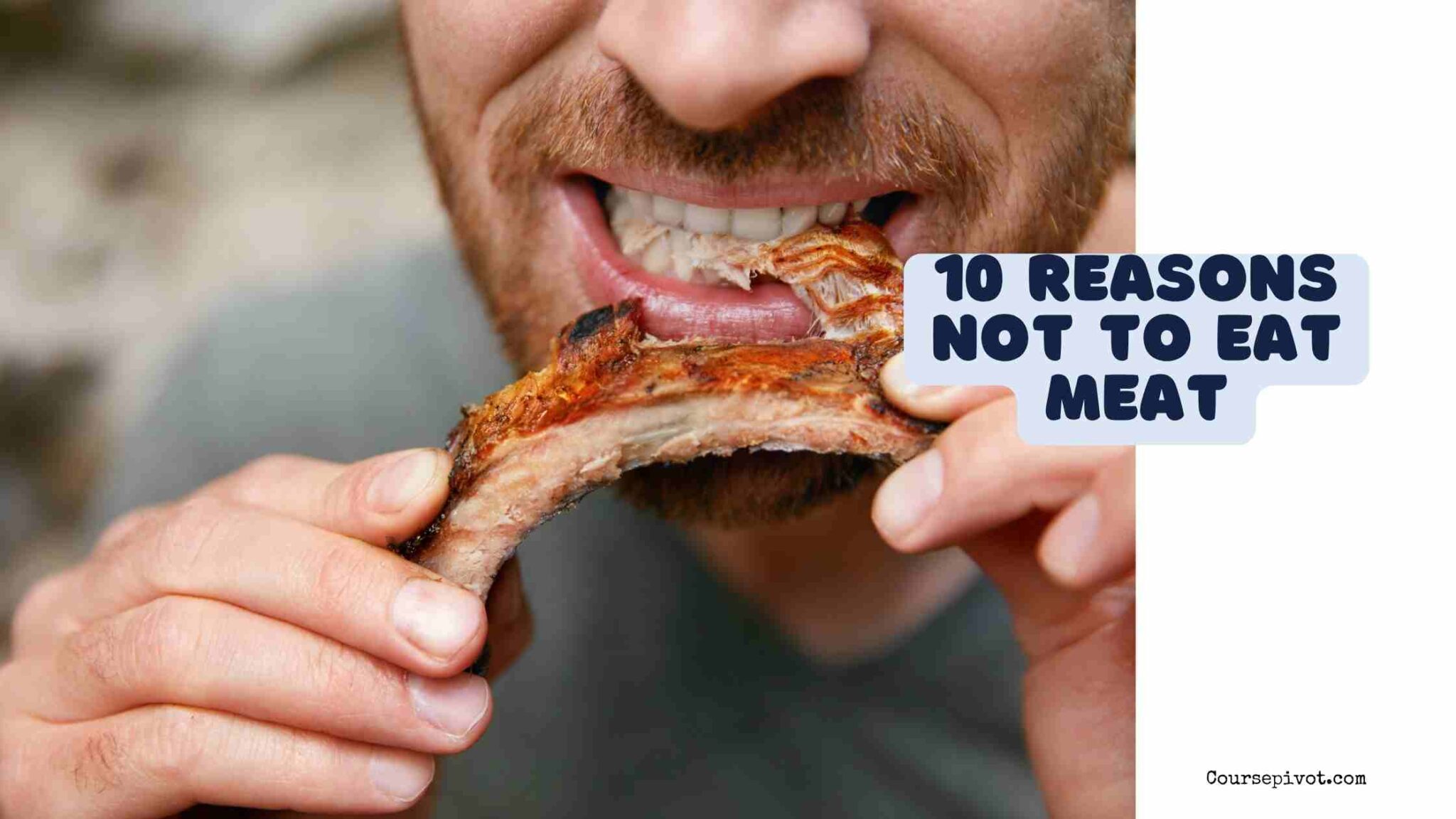 10 Reasons Not To Eat Meat