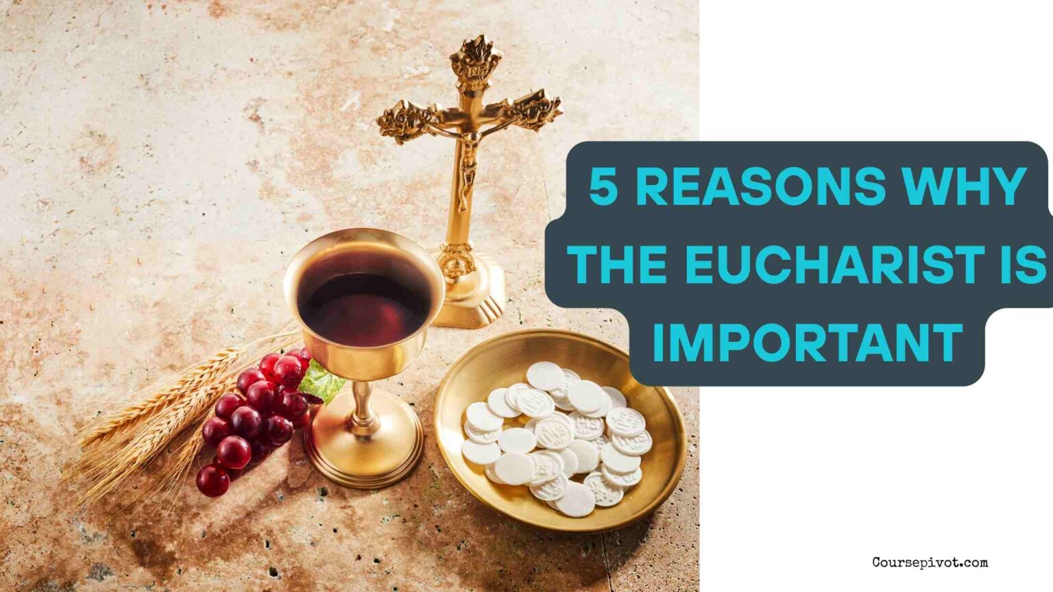 5 Reasons Why The Eucharist Is Important