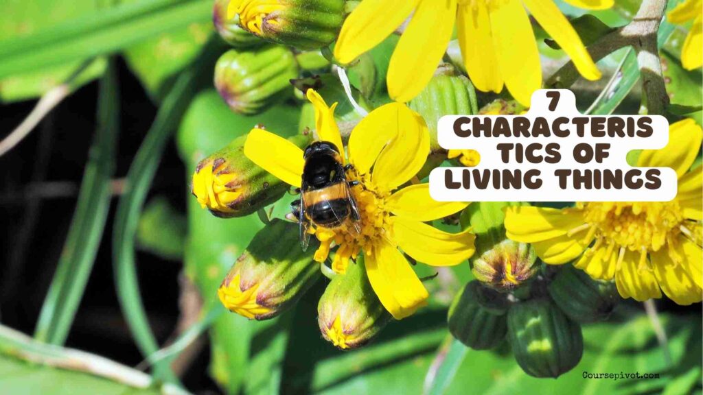 7 Characteristics Of Living Things