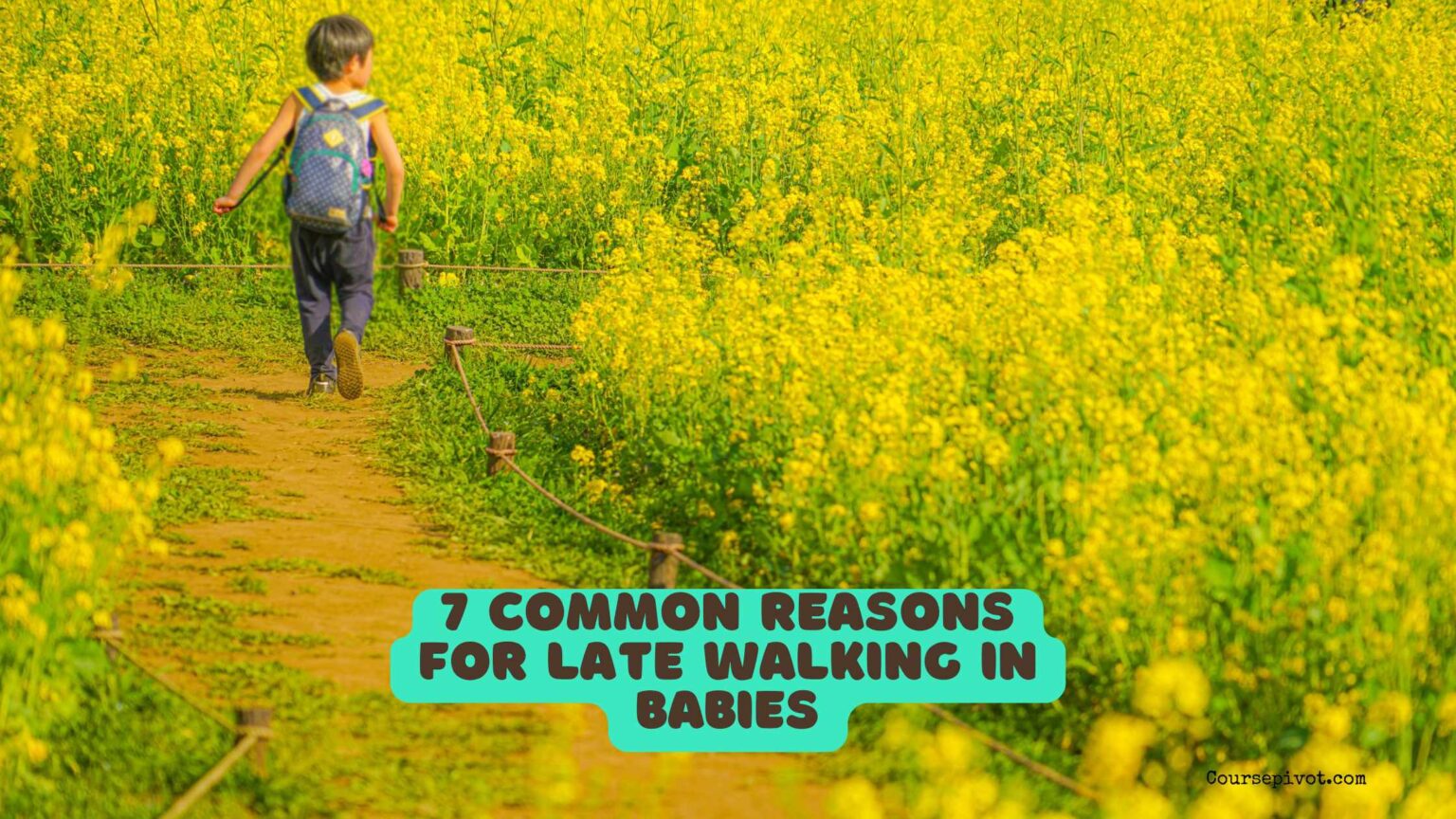 7 Common Reasons For Late Walking In Babies