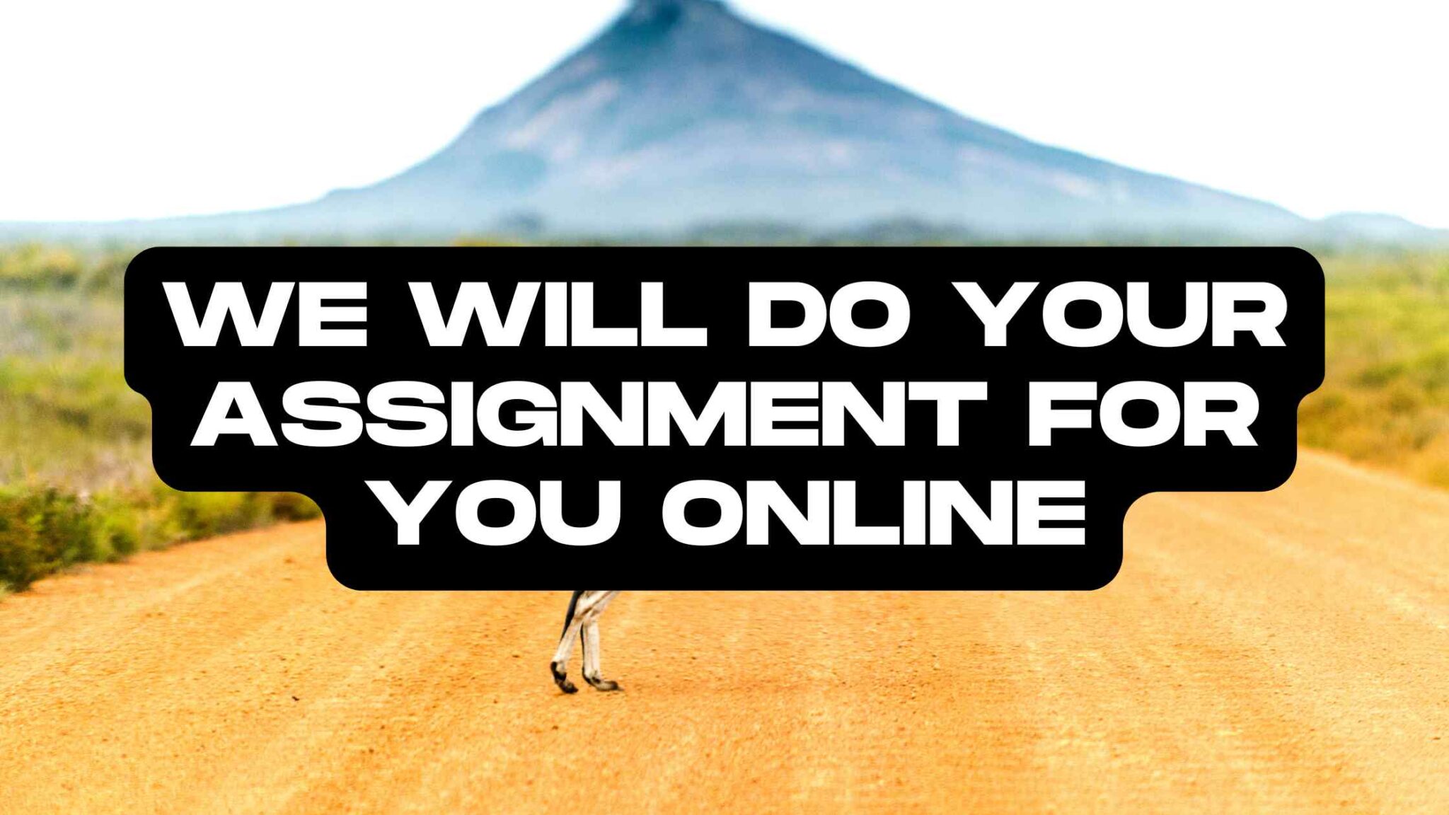 Who Can Do My Assignment For Me In Australia? Best Review For Students