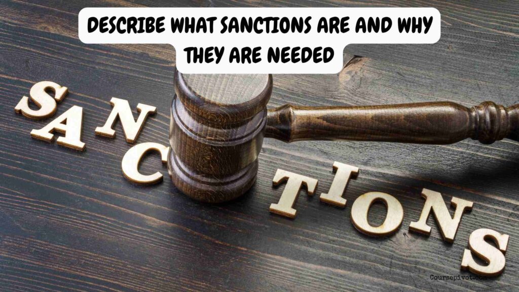 Describe What Sanctions Are And Why They Are Needed