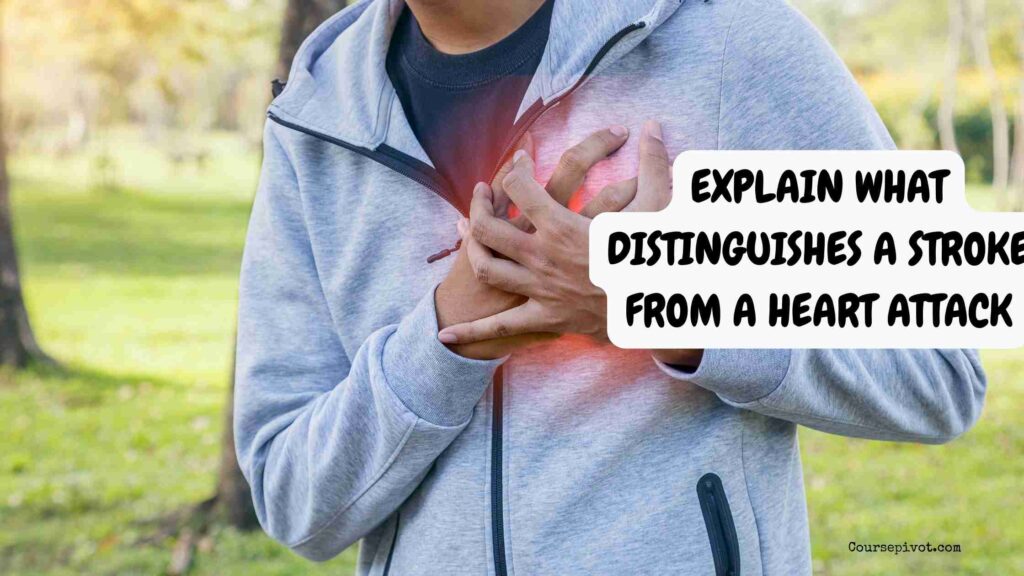 Explain What Distinguishes A Stroke From A Heart Attack
