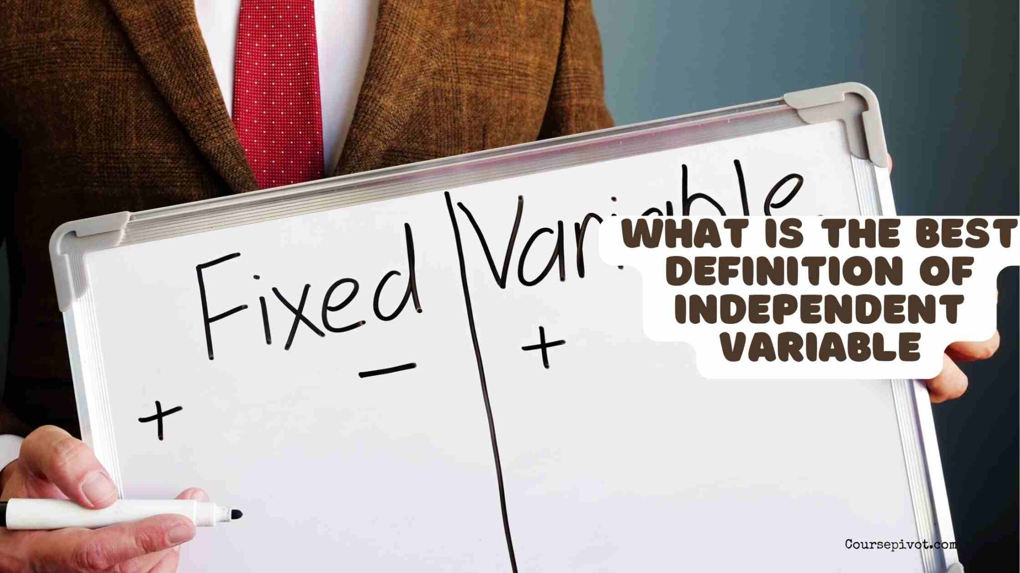 What Is The Best Definition Of An Independent Variable?