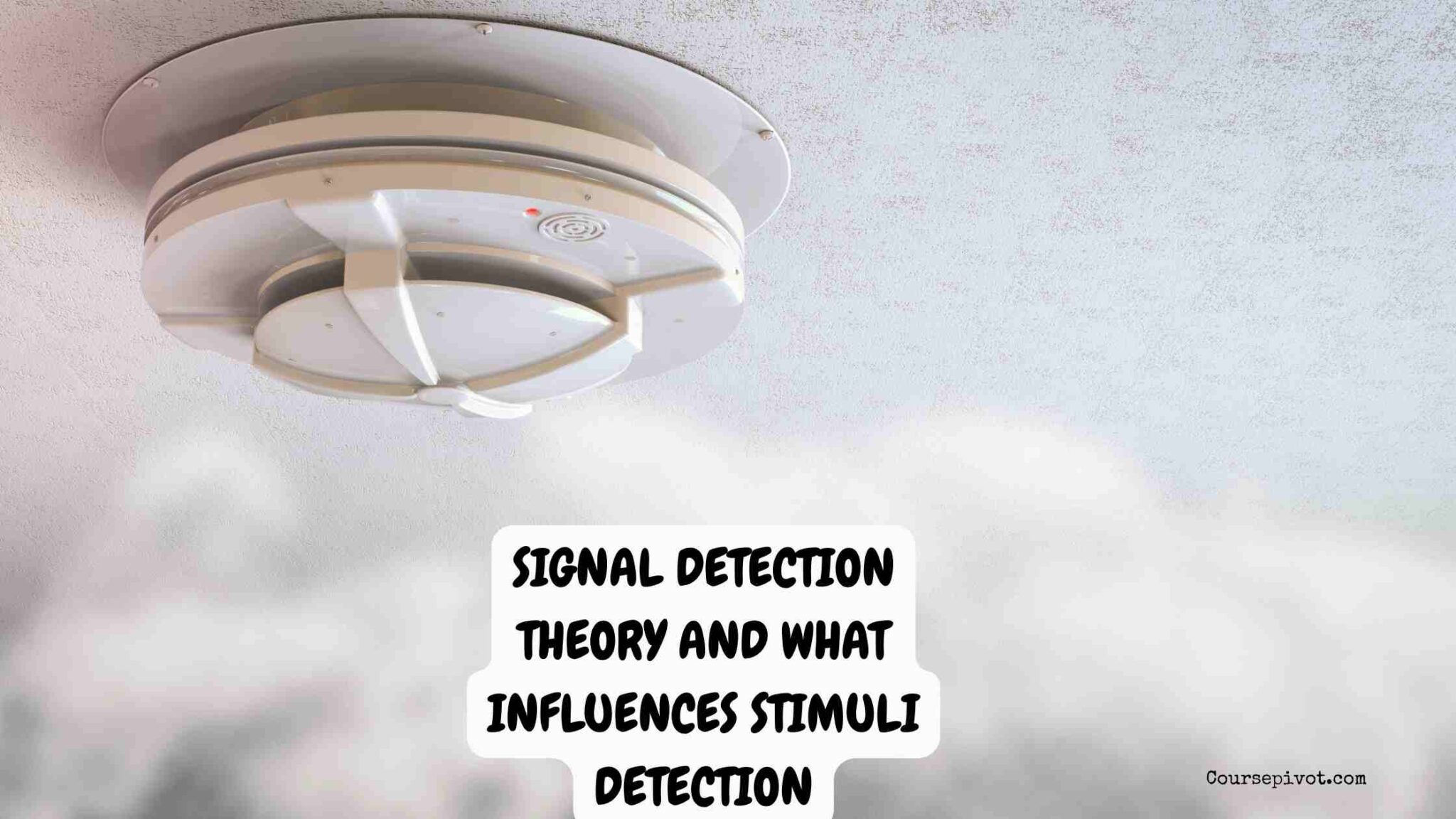 Signal Detection Theory And What Influences Stimuli Detection