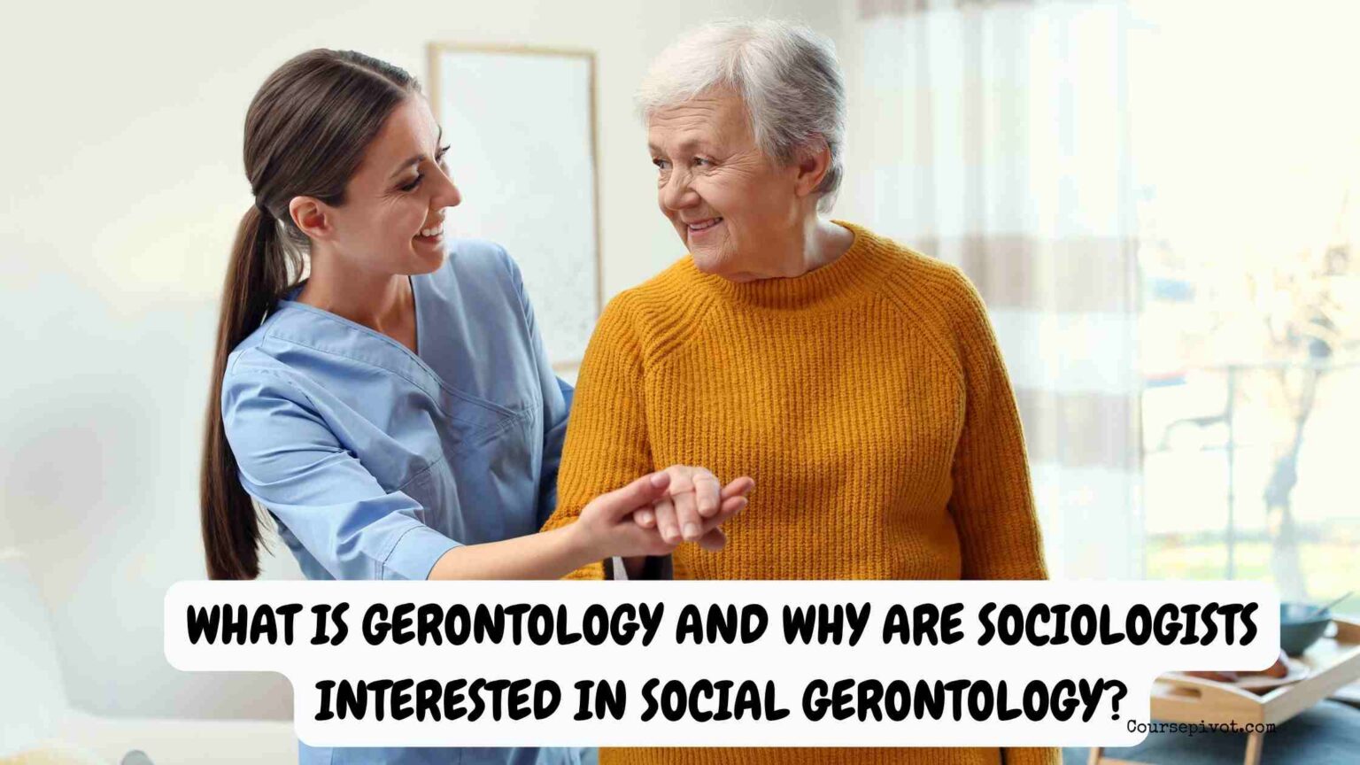 What Is Gerontology And Why Are Sociologists Interested In Social ...