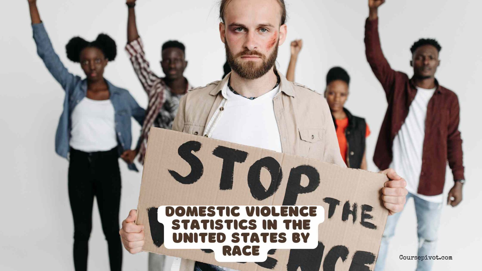 Domestic Violence Statistics In The United States By Race