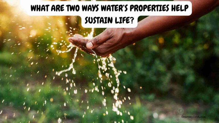 What Are Two Ways Water’s Properties Help Sustain Life?