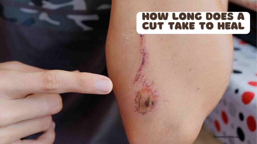 How Long Does A Cut Take To Heal?