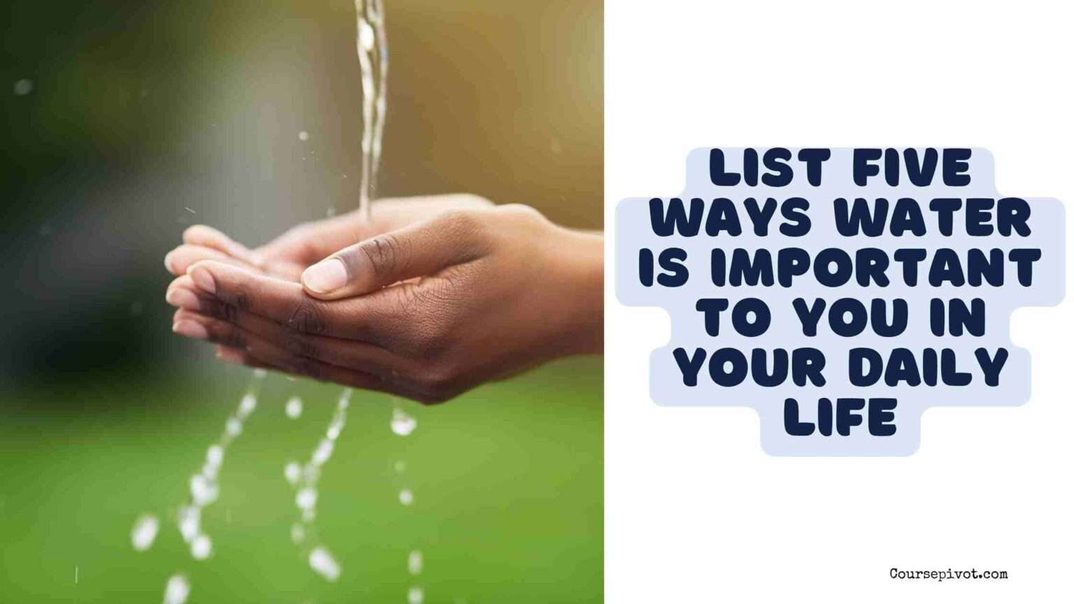 Five Ways Water Is Important To You In Your Daily Life