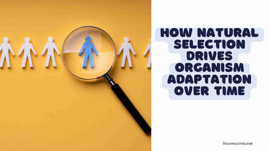 How Natural Selection Drives Organism Adaptation Over Time