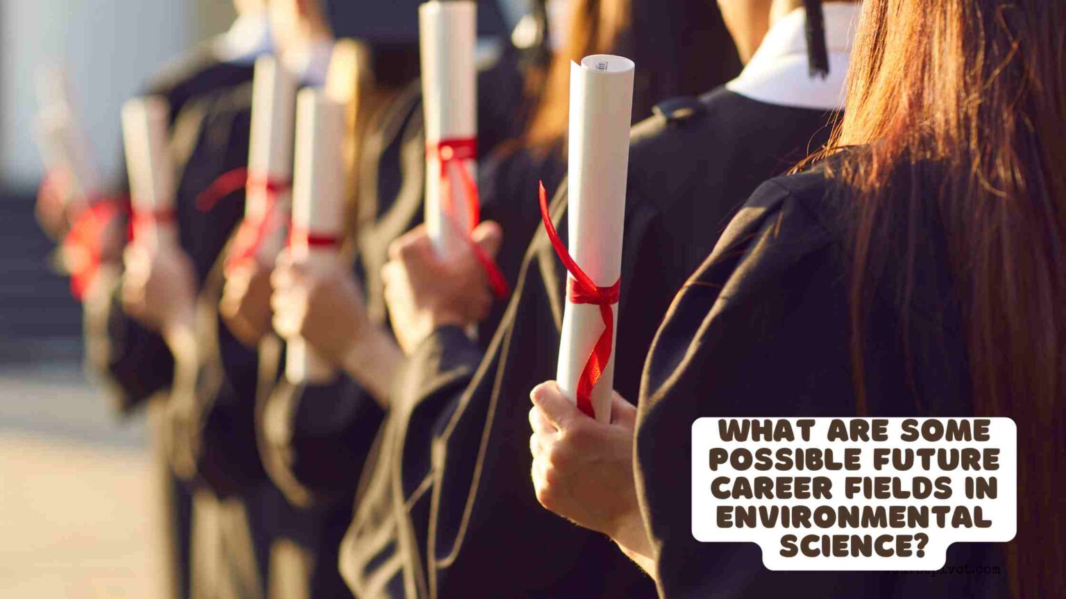 What Are Some Possible Future Career Fields In Environmental Science?