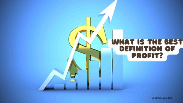 What Is The Best Definition Of Profit?